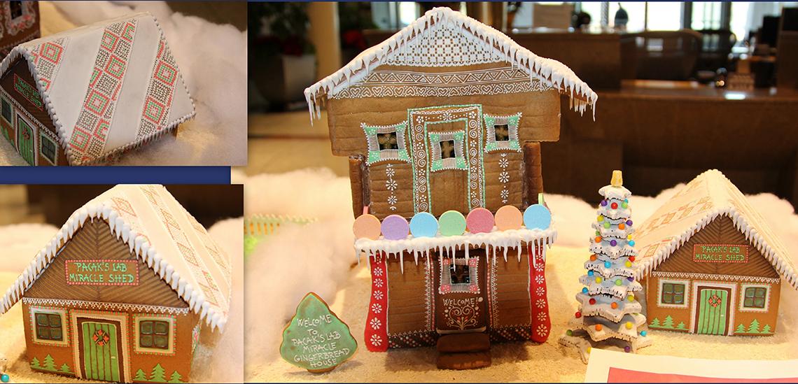 Gingerly Carrying the Gingerbread House | NIH Record
