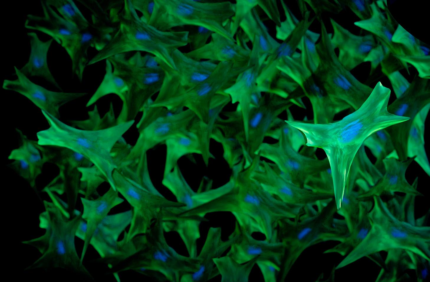 NIH Scientists Find Treatment for Rare Genetic Skin Disorder | NIH Record