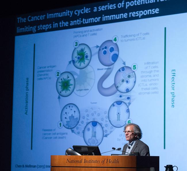 Mellman Optimistic About Cancer Immunotherapy | NIH Record